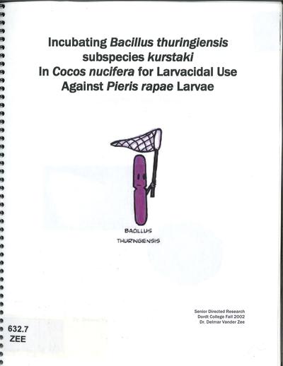 Incubating Bacillus thuringiensis subspecies kurstaki in Cocos nucifera ...