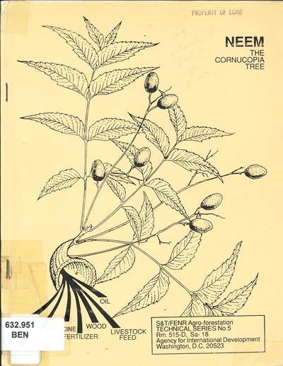 Neem: the cornucopia tree | ECHOcommunity.org