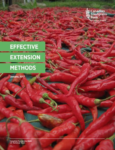 Effective Extension Methods | ECHOcommunity.org