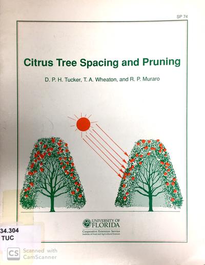 Citrus Tree Spacing and Pruning | ECHOcommunity.org