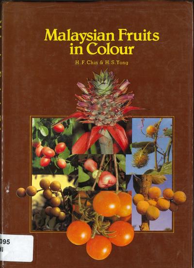 Malaysian fruits in colour | ECHOcommunity.org