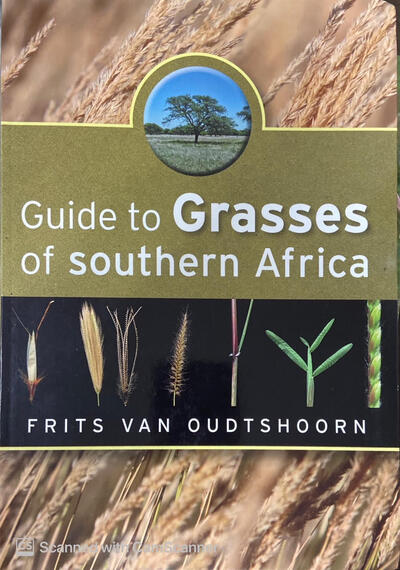 Guide to Grasses of Southern Africa | ECHOcommunity.org