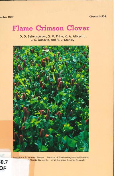 Flame crimson clover | ECHOcommunity.org