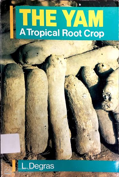 The Yam: A Tropical Root Crop | ECHOcommunity.org