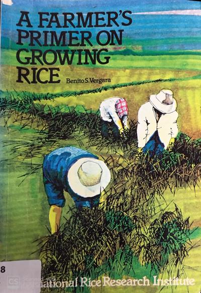 A Farmer's Primer on Growing Rice | ECHOcommunity.org