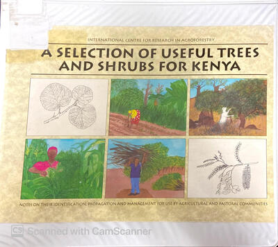 A Selection of Useful Trees and Shrubs for Kenya | ECHOcommunity.org