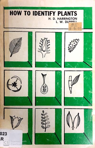 How to identify plants | ECHOcommunity.org