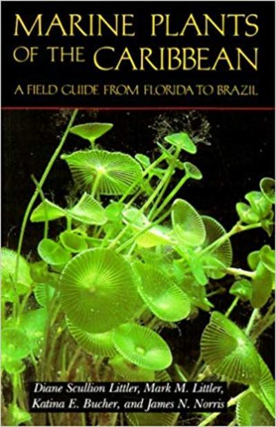 Marine plants of the Caribbean: a field guide from Florida to Brazil ...