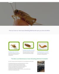 Insect Breeding Resource Center | ECHOcommunity.org