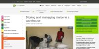 Storing and Managing Maize in a Warehouse - Video | ECHOcommunity.org