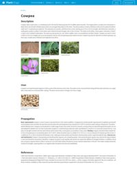 Cowpea - PlantVillage - Common Pests and Diseases | ECHOcommunity.org