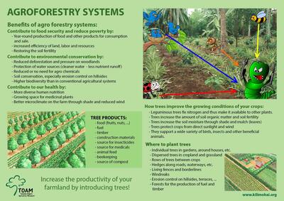 TOAM - Agroforestry Systems | ECHOcommunity.org